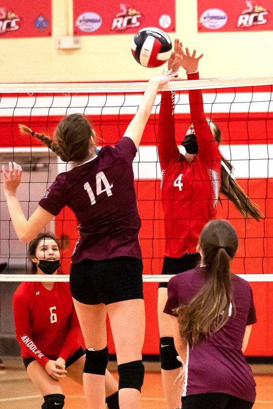 Randolph Knocks Off Ellicottville In Class D Quarterfinals | News ...